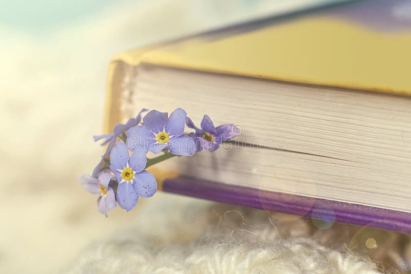 Photo Open Books with a Spring Flowers Nostalgic Romantic Mood Concept ...