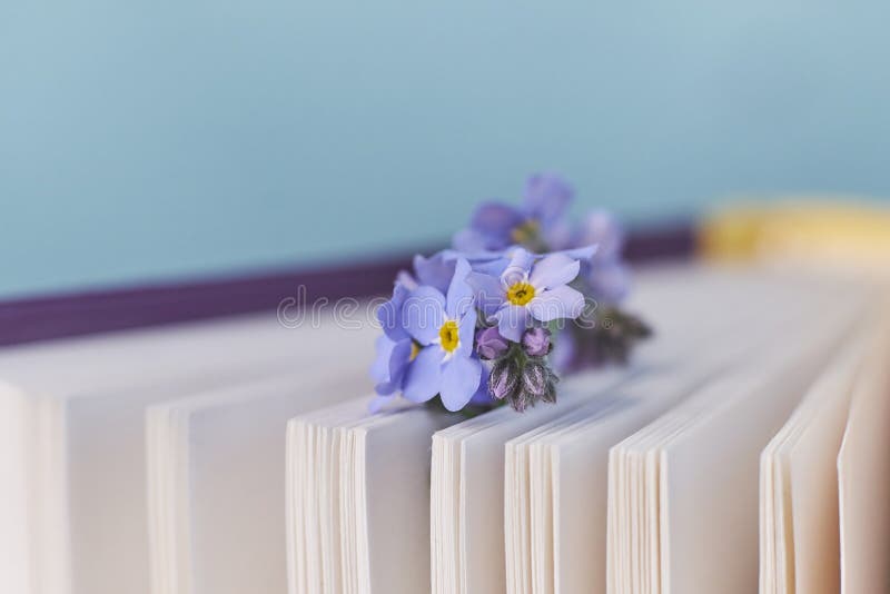 Macro Photo Open Books with a Spring Flowers Nostalgic Romantic Mood ...