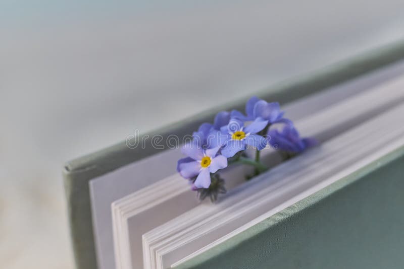 Macro Photo Open Books with a Spring Flowers Nostalgic Romantic Mood ...