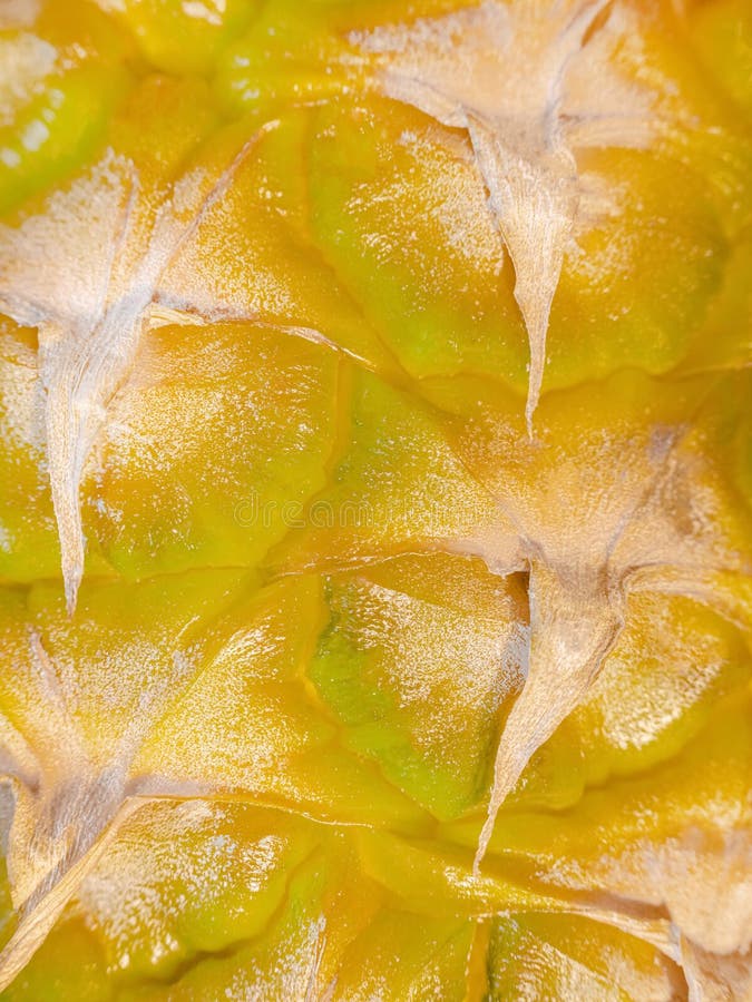 Macro Photo Pineapple Closeup Detail Fresh Fruit Pattern Stock Photo ...