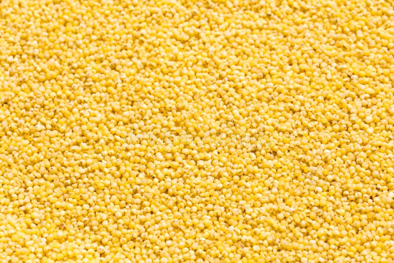 Polished Millet Texture Macro Background Stock Image - Image of cereal ...