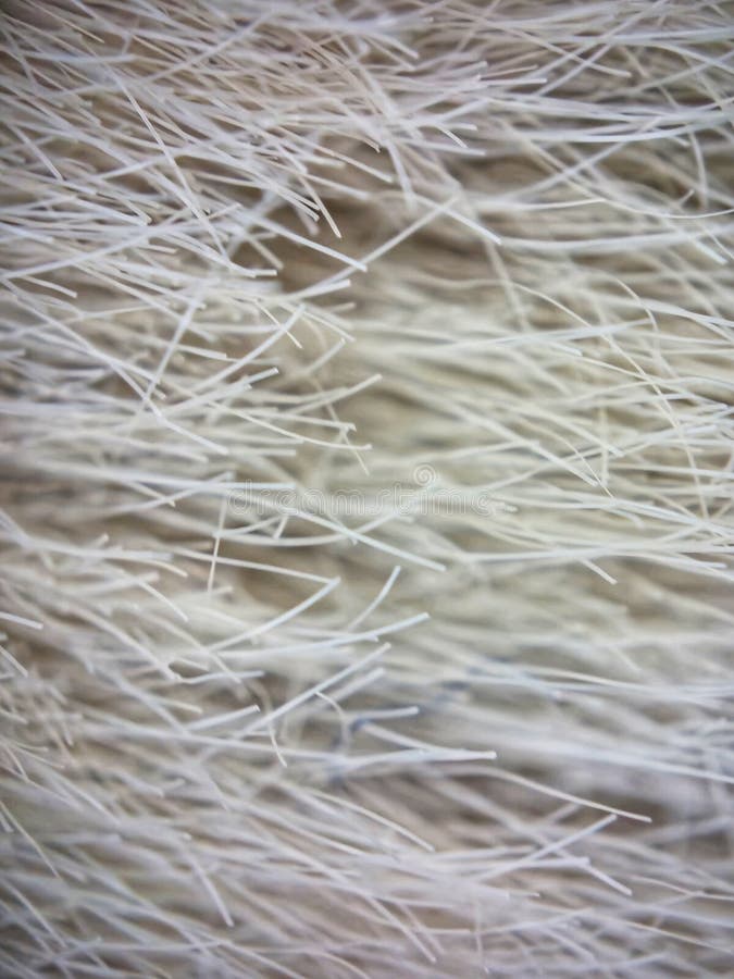 Macro Photo of a Threaded Fabric Under a Microscope Stock Image - Image ...