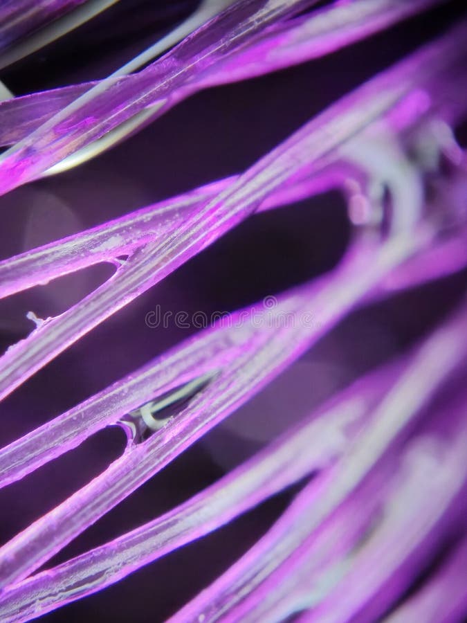 Microscopic Beauty: Bath Sponge with Water Drop Stock Photo - Image of ...