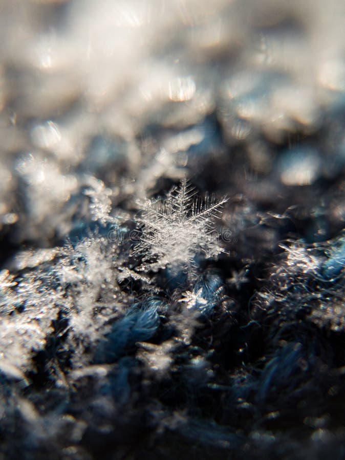 Macro photo of a snowflake stock photo. Image of winter - 245145010