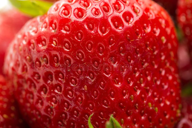 Macro Photo of Strawberry Texture Stock Photo - Image of background ...