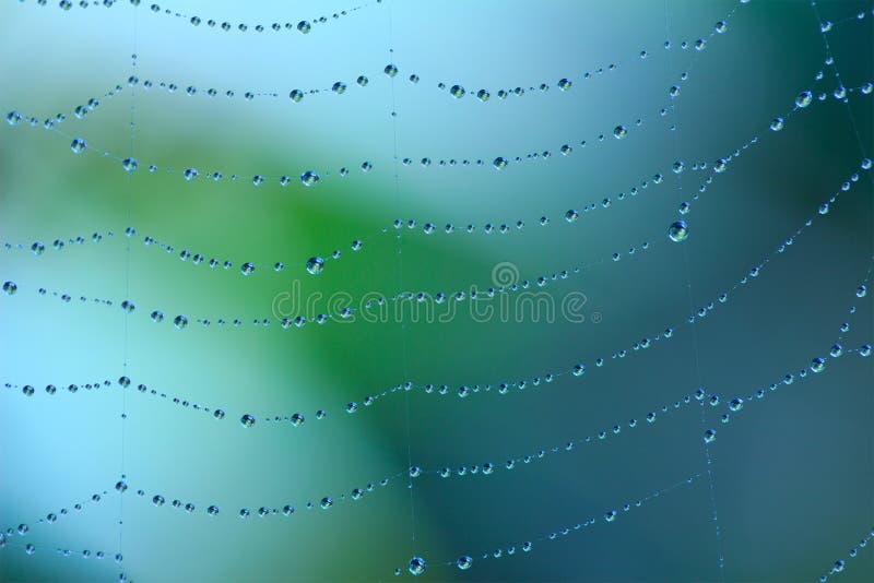 Macro Photo of Water Drop on Web on Blue Background Stock Image - Image ...