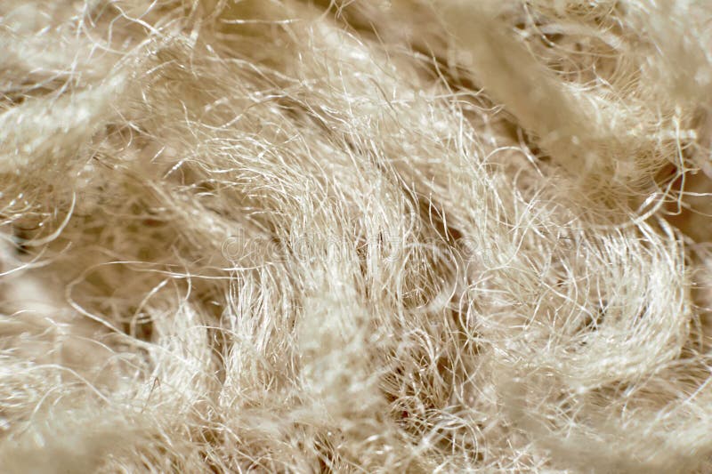 Macro Photo of White Wool Under the Sun Stock Image - Image of fiber ...