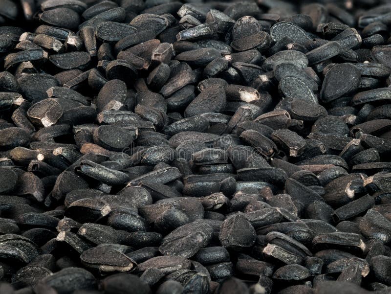 Macro Photography of Black Sesame Stock Image - Image of sesame ...