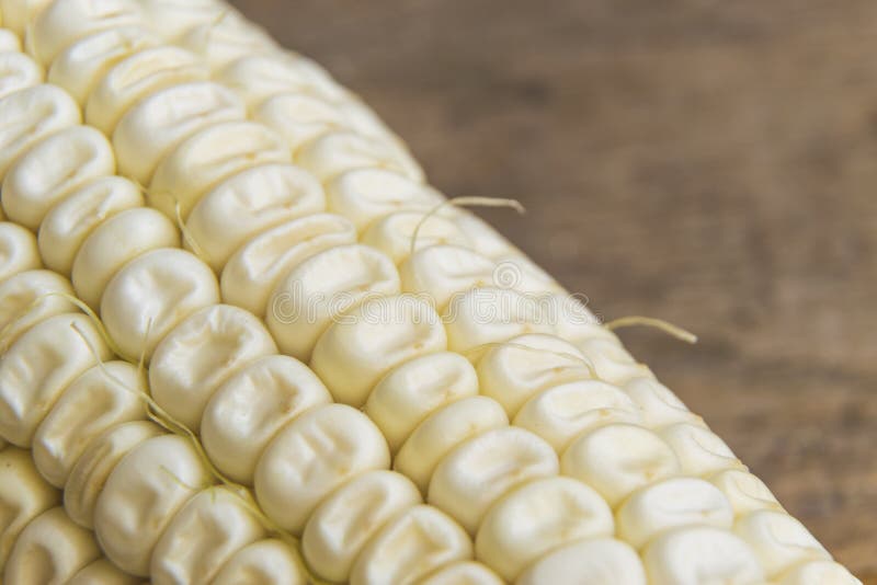 Macro Photography of Fresh and Organic White Corn Stock Image - Image ...