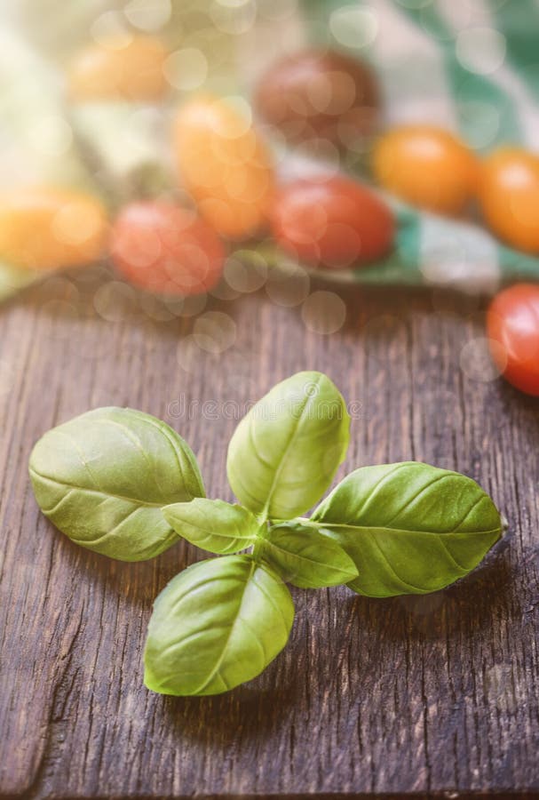 Macro Photography Of Green Leaf On Table Stock Photo - Image of herb ...