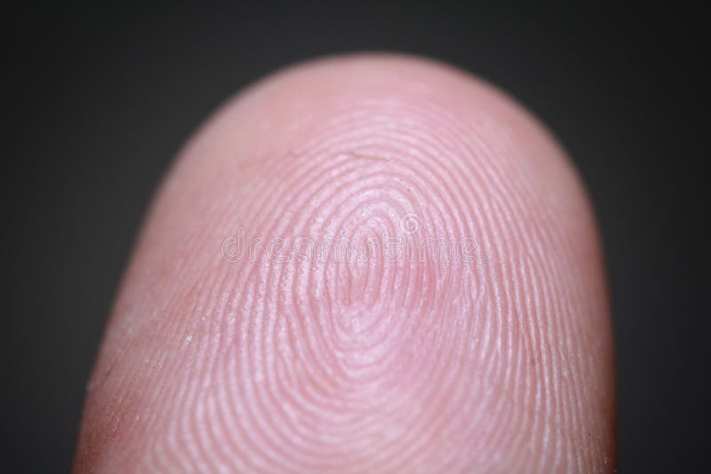 Macro Photography of Human Finger Stock Image - Image of fingerprint ...