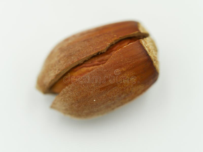 Split Long Hazelnut Macro Photography Stock Photo - Image of diet ...