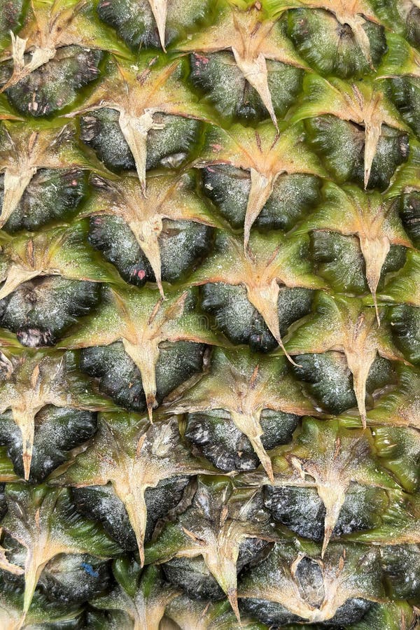 Macro Photography of the Surface of a Pineapple, a Detailed View of the ...