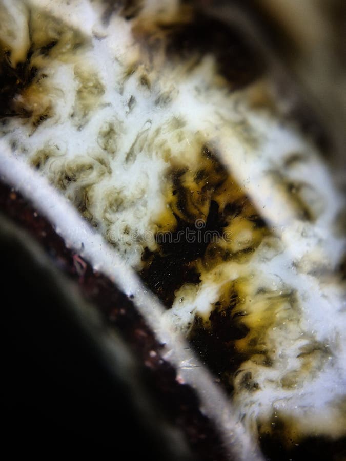 "Secrets of Ceramics: Macro Photography Under the Microscope" Stock ...