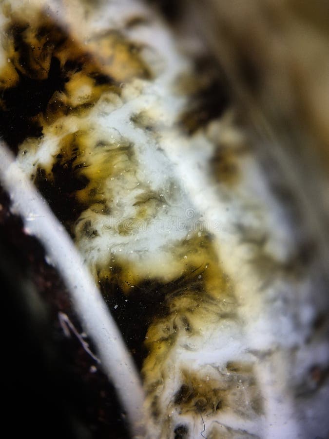 "Secrets of Ceramics: Macro Photography Under the Microscope" Stock ...