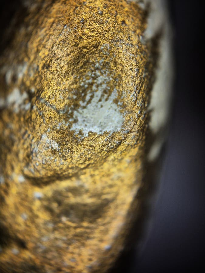 "Secrets of Ceramics: Macro Photography Under the Microscope" Stock ...