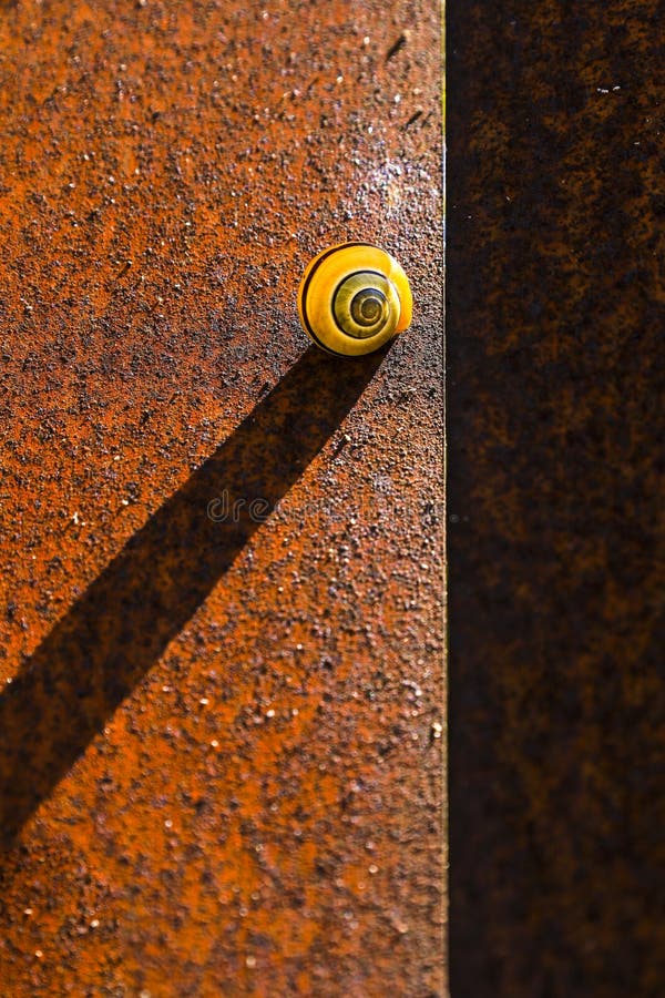 Yellow Snail Shell on Rusty Iron Surface Stock Photo - Image of spiral ...