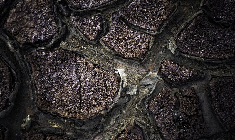 Macro Picture of Brown Mineral Rocks Stock Image - Image of material ...