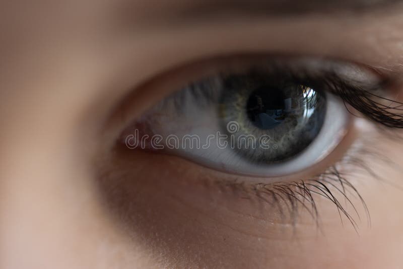 Macro Picture of a Grey Human Eye Under the Lights Stock Image - Image ...