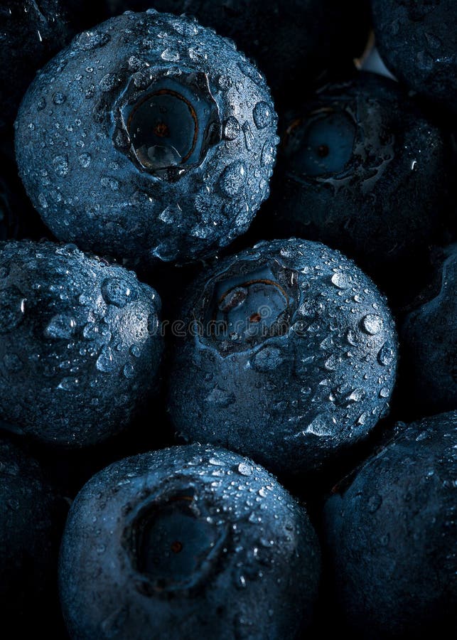 Macro Picture of Group of Blueberries and Dew Drops Background Stock ...