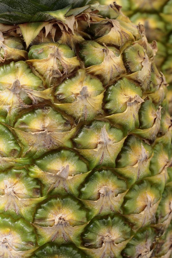 Macro pineapple background stock image. Image of closeup - 3706659