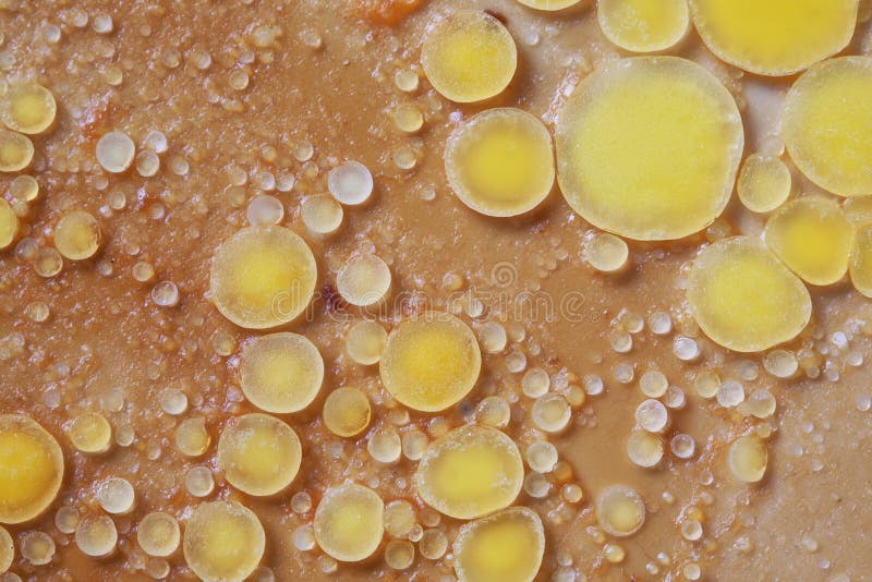 Macro of Poly Saturated Fat Stock Image - Image of poly, health: 37809991