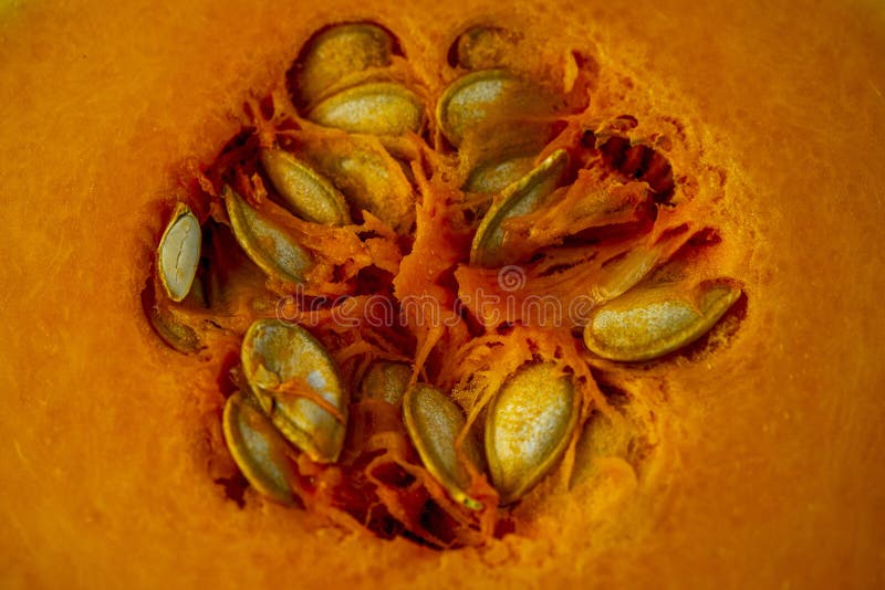 Macro Pumpkin Texture. Close Up of Organic, Sliced Pumpkin with Seeds ...