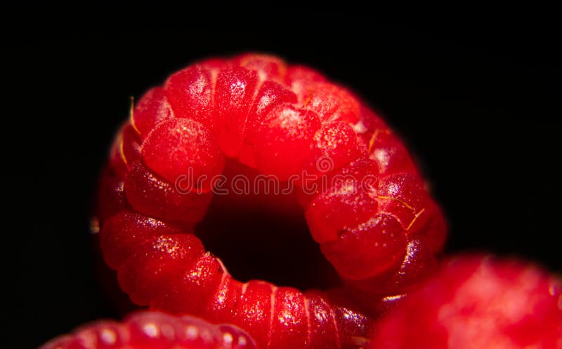Macro Raspberry Black Background Stock Image - Image of refreshment ...