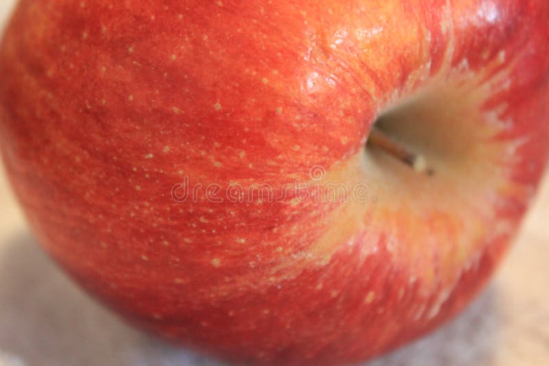 Macro Red Apple stock photo. Image of macro, connections - 178017486