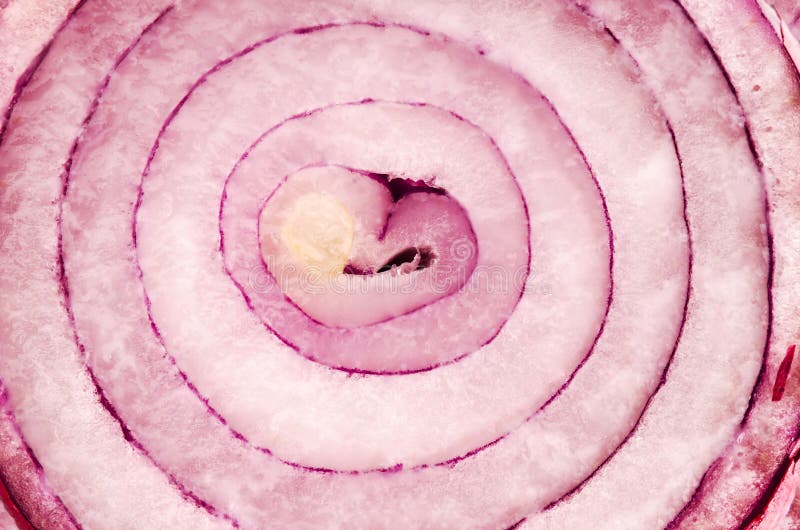 Onion Heart Stock Photos - Download 2,548 Royalty Free Photos