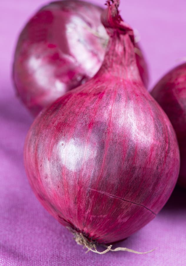 Macro Red Onions on Purple Table Cloth Stock Image - Image of root ...