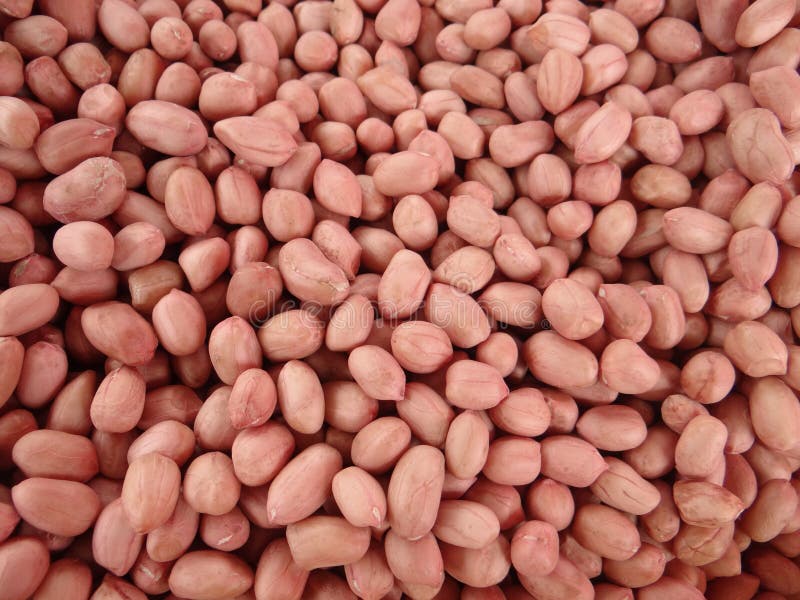 Macro of red peanuts stock image. Image of peanuts, araxis - 201513837
