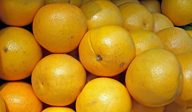 Macro of Ripe Grapefruits in the Sun Stock Image - Image of beautiful ...