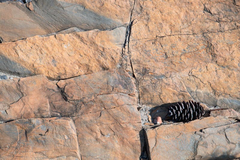 Detail of Red Rock Formations on the Beach at Harris Beach State Park, Oregon, USA Stock Photo ...
