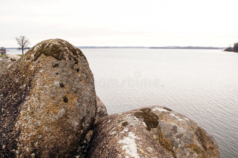 Macro Rocks in Sea with Tree in Background Stock Photo - Image of ...