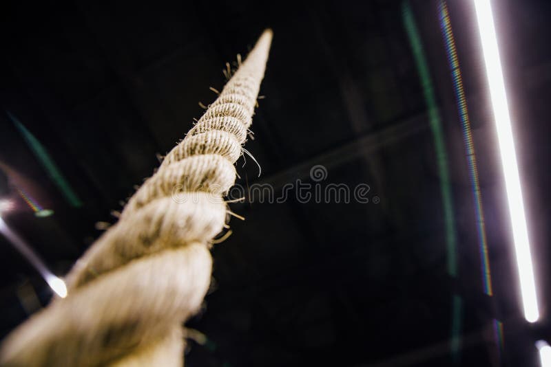 Macro Rope Hanging from the Ceiling in the Gym. Motivation, Improvement ...