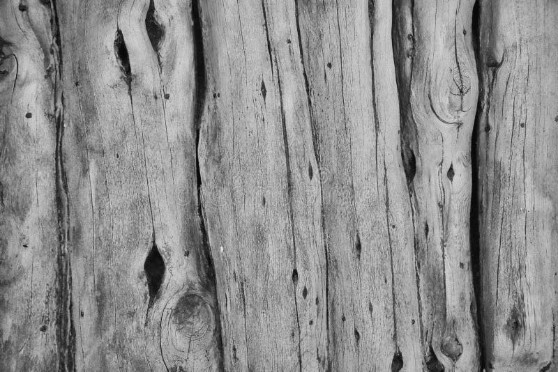 Macro of rough wood logs stock image. Image of material - 267606831
