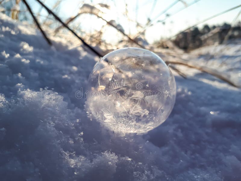Macro of Round, Frozen Soap Bubble Forming Beautiful Leaf and Tree Like ...