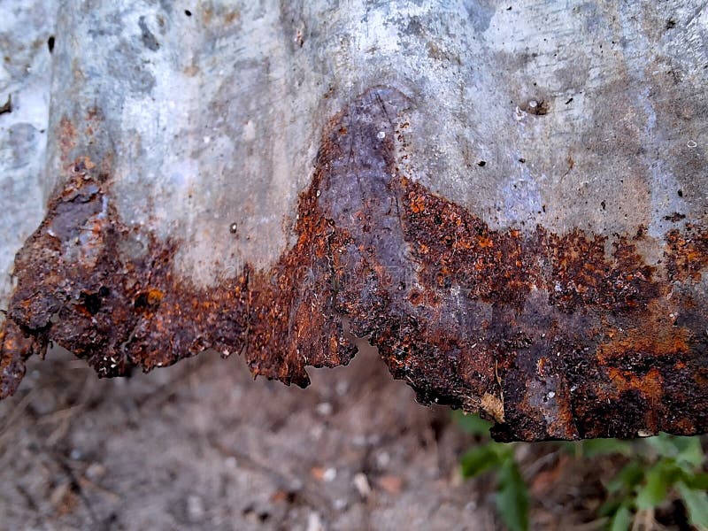 Macro of Rust on a Zinc Sheet. Stock Image - Image of sheet, macro ...