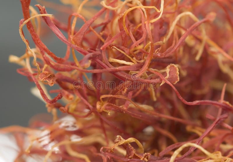 Macro saffron stock image. Image of cook, colours, closeup - 7134653