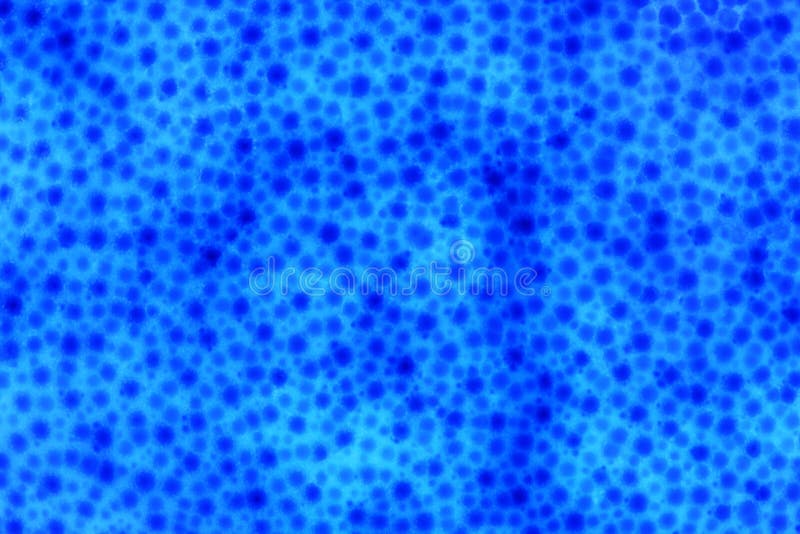 Macro science stock image. Image of macro, glamour, medical - 266006061