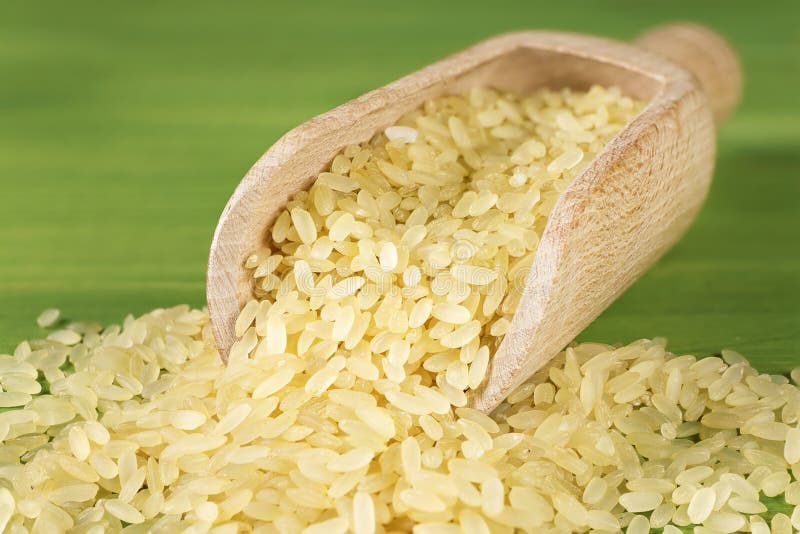 Macro scoop of rice stock photo. Image of ingredient - 41006632