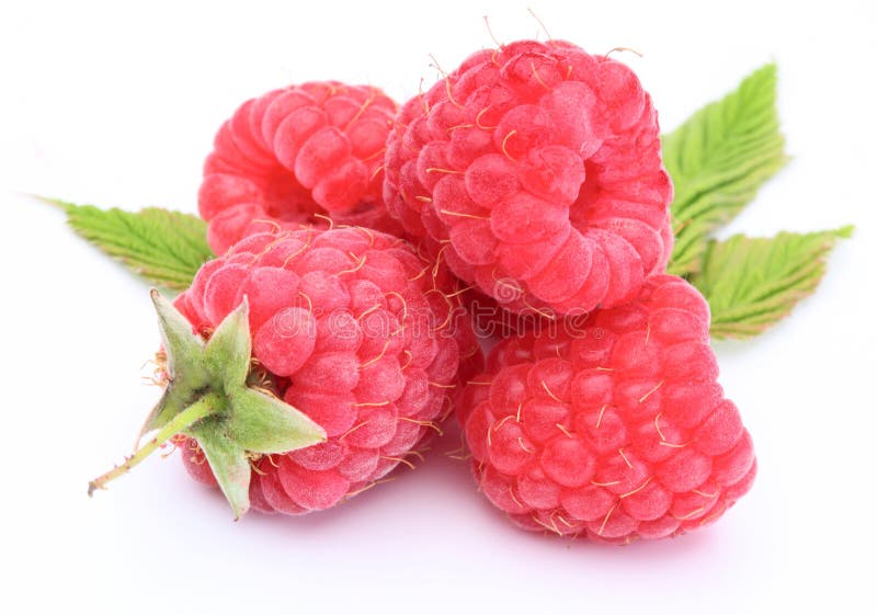 Macro Shot of Appetizing Raspberries Stock Photo - Image of green ...