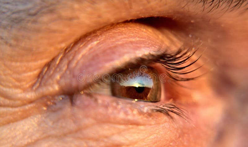 Macro Shot of a Beautiful Human Eye Stock Photo - Image of lashes ...