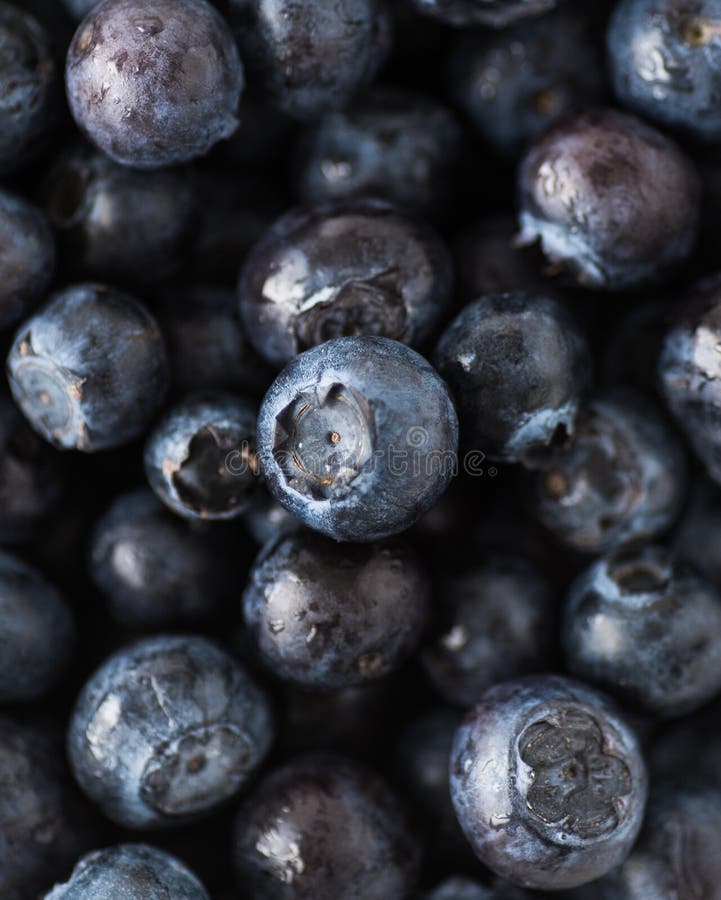 Macro Shot of Blueberries Shot in Abundance Stock Image - Image of ...