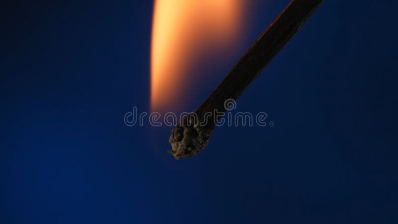 Macro Shot of a Burning Match Against a Blue Studio Background. the ...