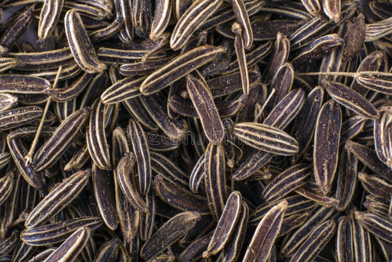 Caraway seeds stock image. Image of cuisine, curative - 103500643