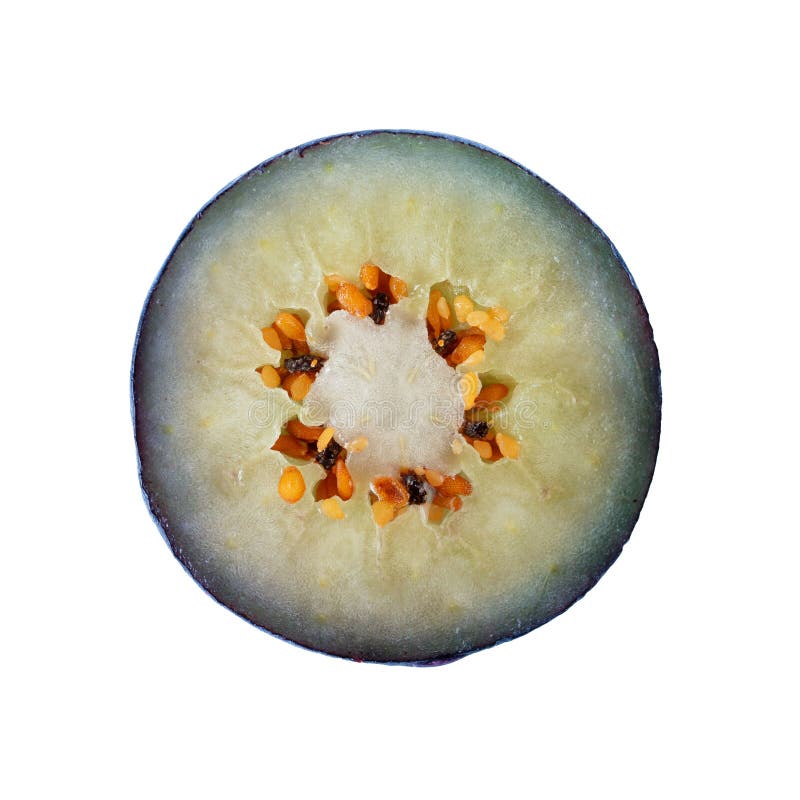 Macro Shot of Cut Blueberry Isolated on White Background with Clipping ...