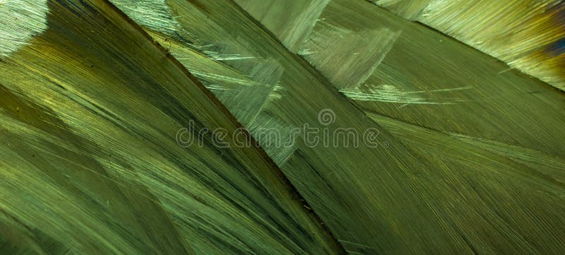 Macro Shot of Cut Metal, Structure and Texture Stock Image - Image of ...