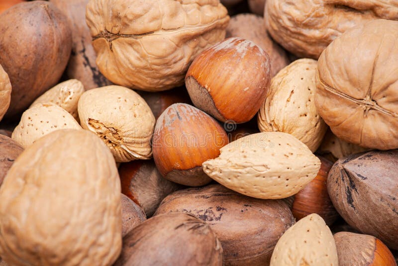 Macro Shot of Different Nuts: Almond, Walnut, Hazelnut and Pecan on ...